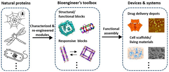 Advantages and Prospective Implications of Smart Materials in Tissue ...