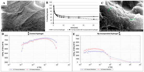 Thermo-Responsive Hydrogels Encapsulating Targeted Core–Shell Nanoparticles as Injectable Drug ...