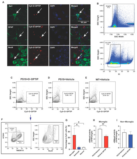 Microglial-Targeted nSMase2 Inhibitor Fails to Reduce Tau Propagation ...