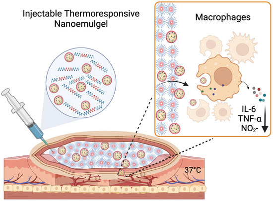A Reversibly Thermoresponsive, Theranostic Nanoemulgel for Tacrolimus ...