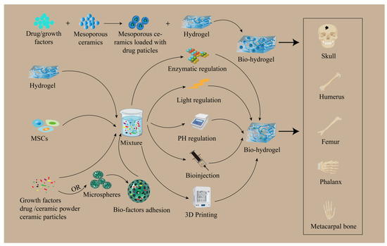 Biomimetic Hydrogel Applications and Challenges in Bone, Cartilage, and ...
