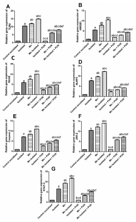 Punicalagin’s Protective Effects on Parkinson’s Progression in Socially ...