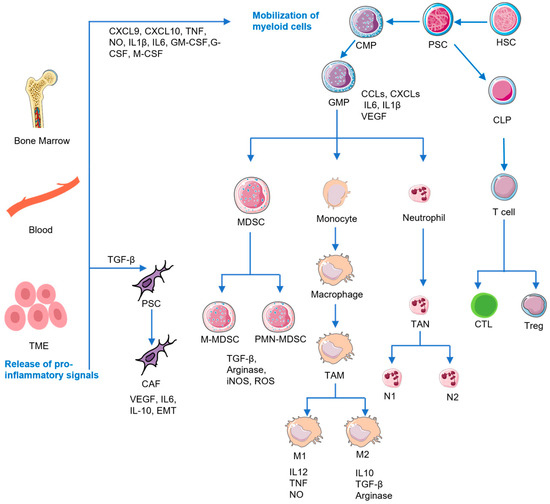 Pharmaceutics | Free Full-Text | Hydrogel-Based Therapeutics for ...