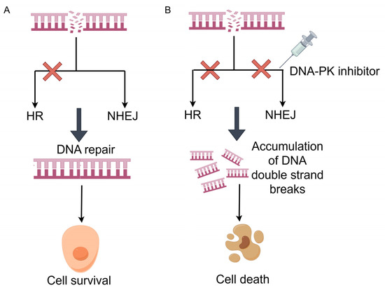 Pharmaceutics | Free Full-Text | Unleashing the Power of Synthetic ...