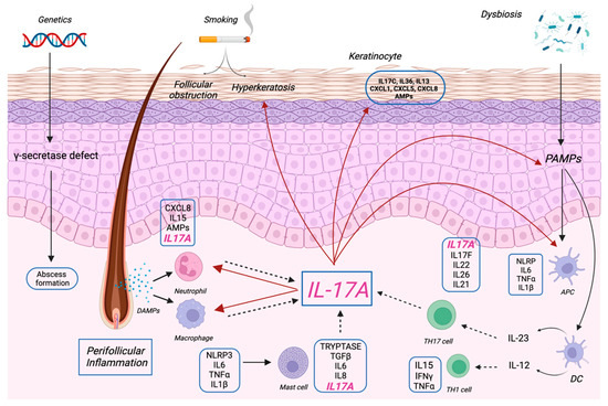 Pharmaceutics | Free Full-Text | IL-17 Inhibition: A Valid Therapeutic Strategy in the ...