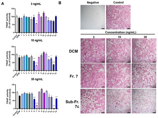 Isolation and Characterization of an Anti-Osteoporotic Compound from ...