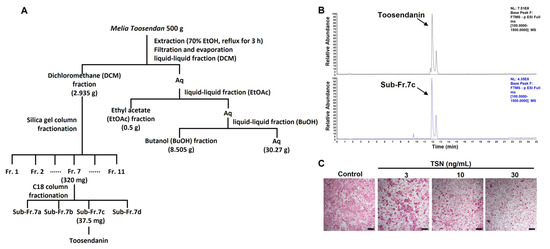 Isolation and Characterization of an Anti-Osteoporotic Compound from ...