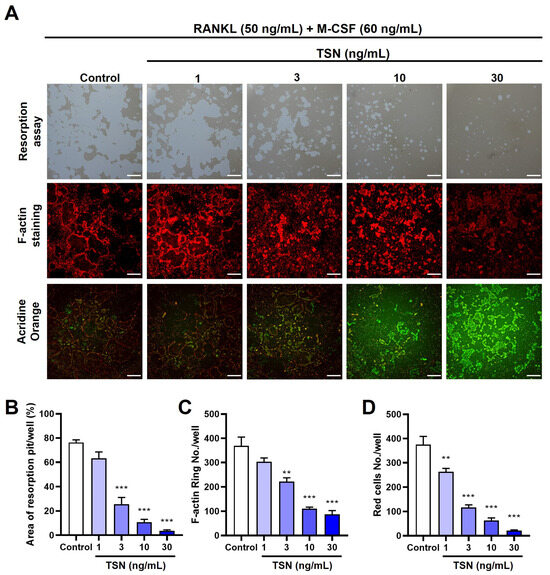 Isolation and Characterization of an Anti-Osteoporotic Compound from ...