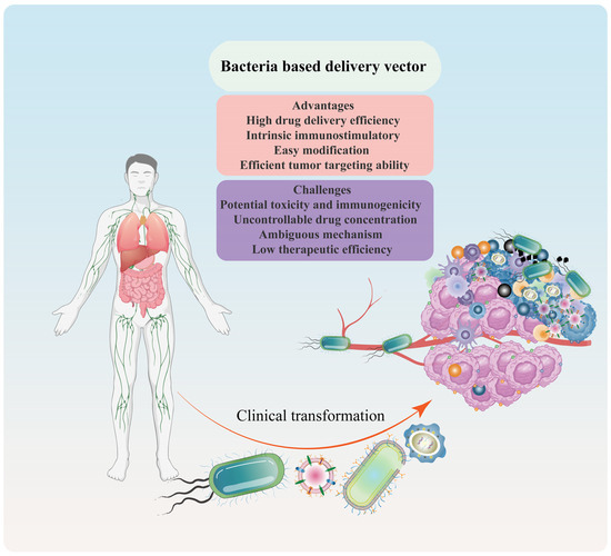 Bacteria and Bacterial Components as Natural Bio-Nanocarriers for Drug ...