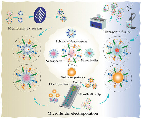 Bacteria and Bacterial Components as Natural Bio-Nanocarriers for Drug ...
