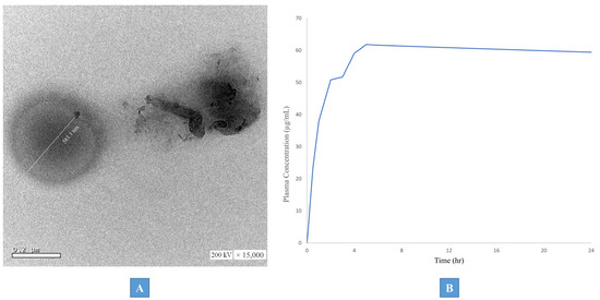 Pharmaceutics | Free Full-Text | Computational Amendment of Parenteral ...