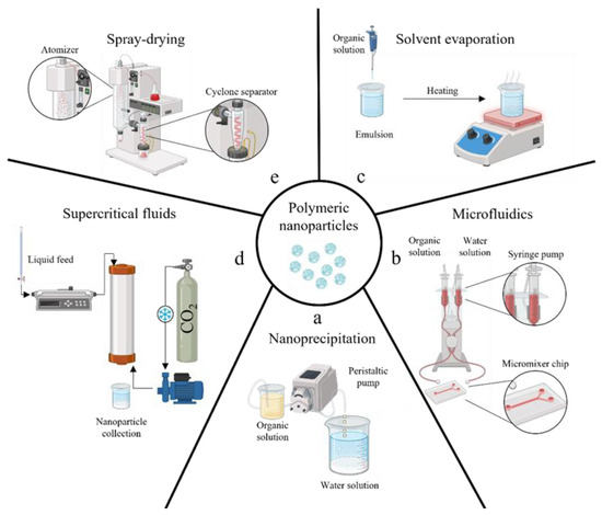 The Other Side of Plastics: Bioplastic-Based Nanoparticles for Drug ...