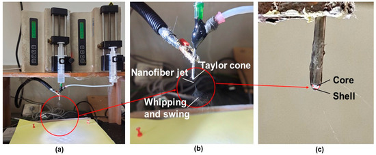 Tri-Layer Core–Shell Fibers from Coaxial Electrospinning for a Modified ...