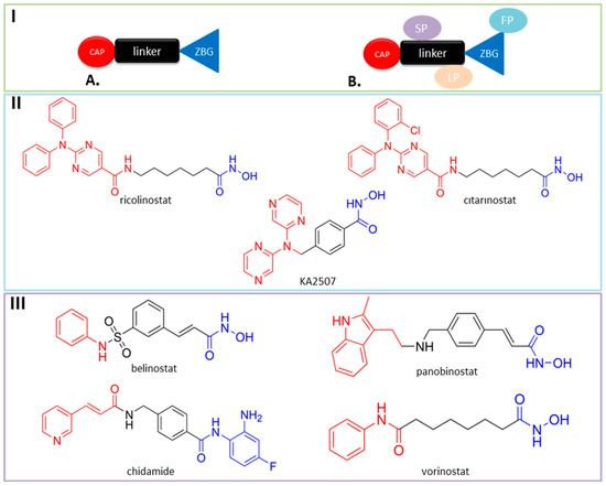 Targeting Histone Deacetylases 6 in Dual-Target Therapy of Cancer