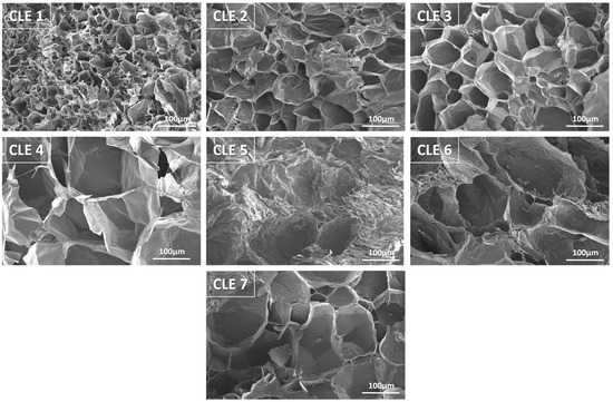 Multifunctional Hydrogels Based on Cellulose and Modified Lignin for ...
