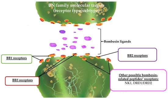 Bombesins: A New Frontier in Hybrid Compound Development