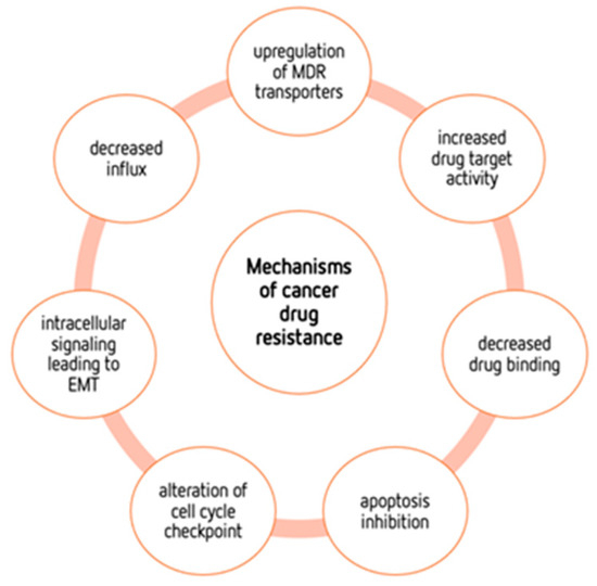 Targeting Glucose Metabolism in Cancer Cells as an Approach to ...
