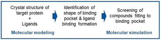 The Trends and Future Prospective of In Silico Models from the ...