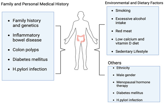 Colorectal Cancer: Disease Process, Current Treatment Options, and ...