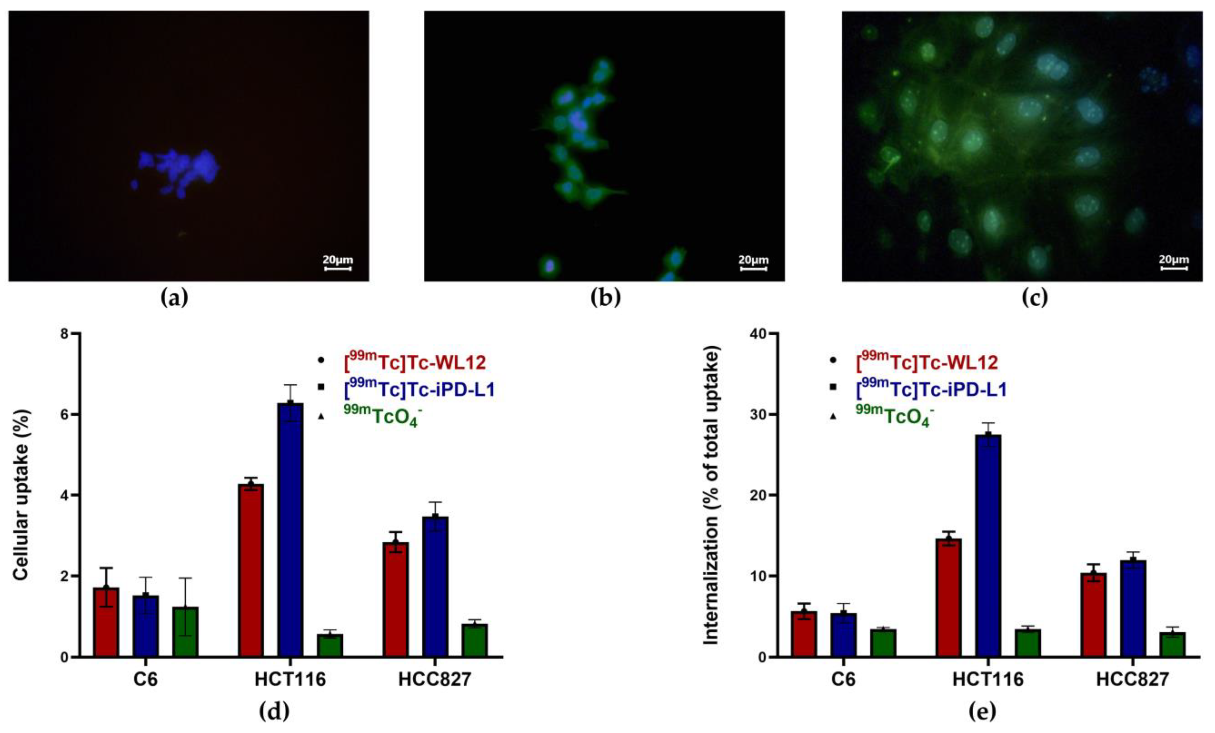 99mTc-Labeled Cyclic Peptide Targeting PD-L1 as a Novel Nuclear Imaging ...