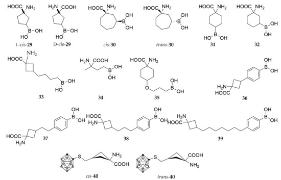 Amino Acid-Based Boron Carriers in Boron Neutron Capture Therapy (BNCT)