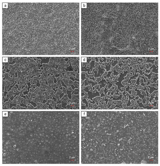 Pharmaceutics | Free Full-Text | Shock Wave-Activated Silver-Loaded ...