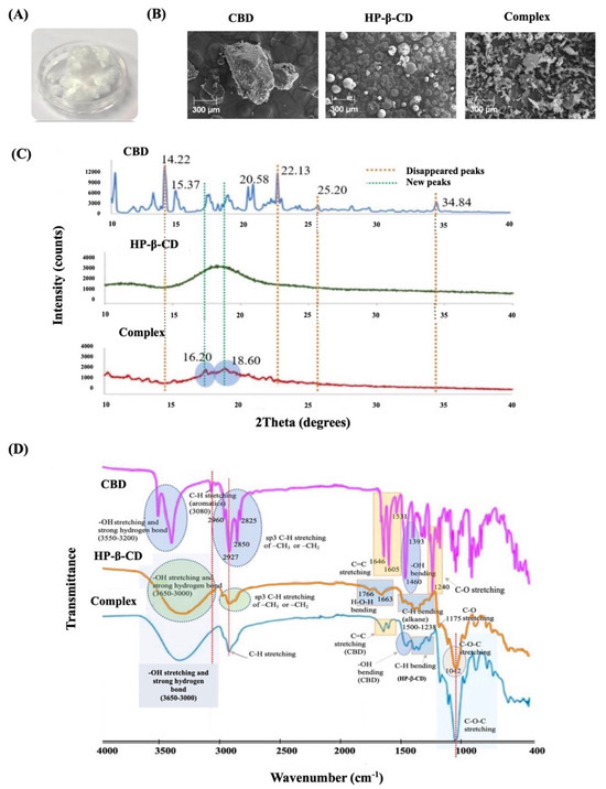 In Vitro Wound Healing Potential of a Fibroin Film Incorporating a ...