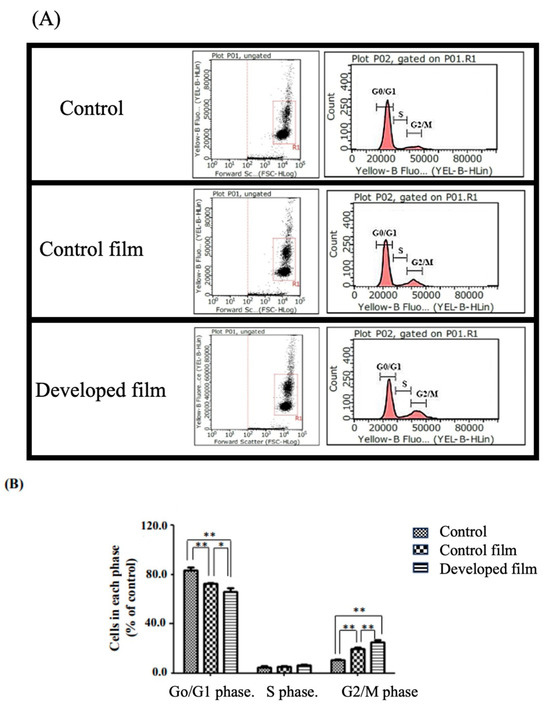 In Vitro Wound Healing Potential of a Fibroin Film Incorporating a ...