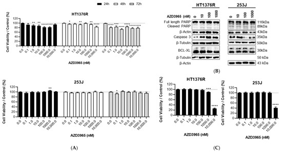 Pharmaceutics | Free Full-Text | Effects of Lactate Transport ...