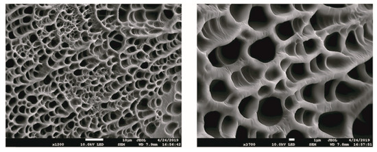 Smart Responsive and Controlled-Release Hydrogels for Chronic Wound ...