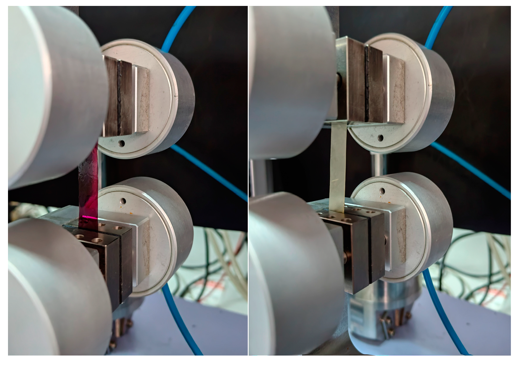 Liposomal and Liposomes-Film Systems as Carriers for Bioactives from ...