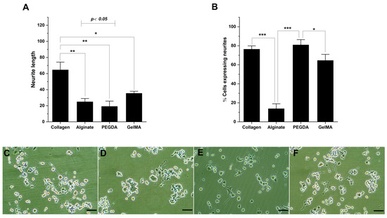 Effect of Electrical Stimulation on PC12 Cells Cultured in Different ...