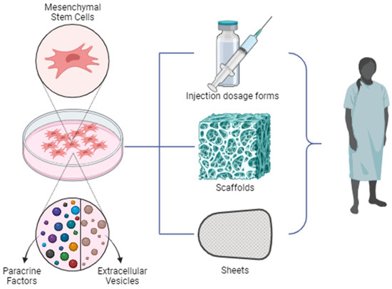 Microneedle-Mediated Transdermal Delivery of Genetic Materials, Stem Cells, and Secretome: An ...