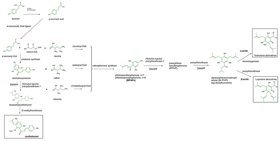 Pharmaceutics | Free Full-Text | Antiviral Activity and Molecular ...