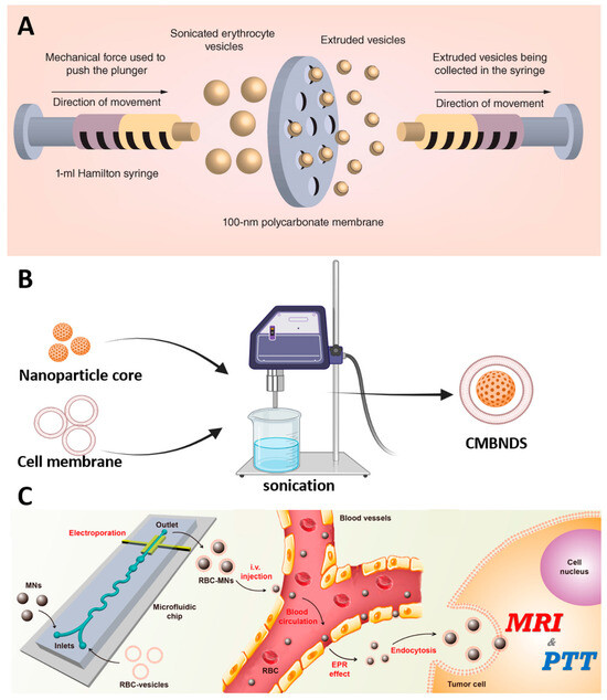 Cell Membrane Biomimetic Nano-Delivery Systems for Cancer Therapy