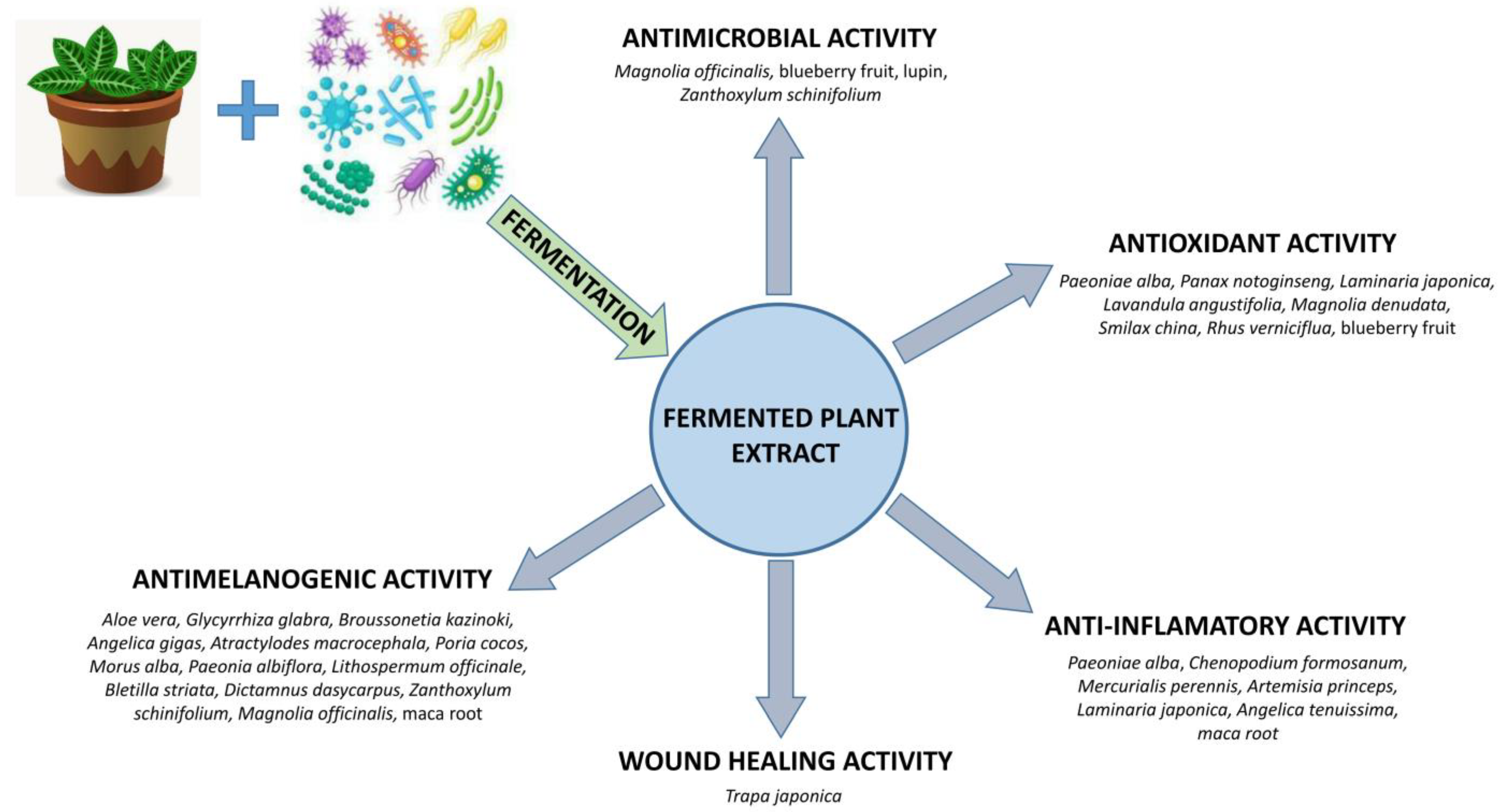 Biological Activity of Fermented Plant Extracts for Potential Dermal ...