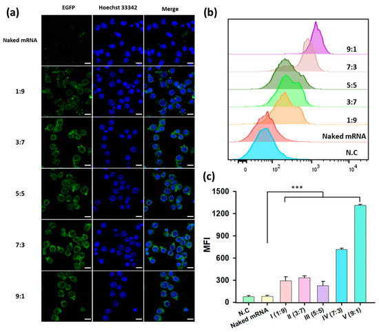 Charge-Complementary Polymersomes for Enhanced mRNA Delivery
