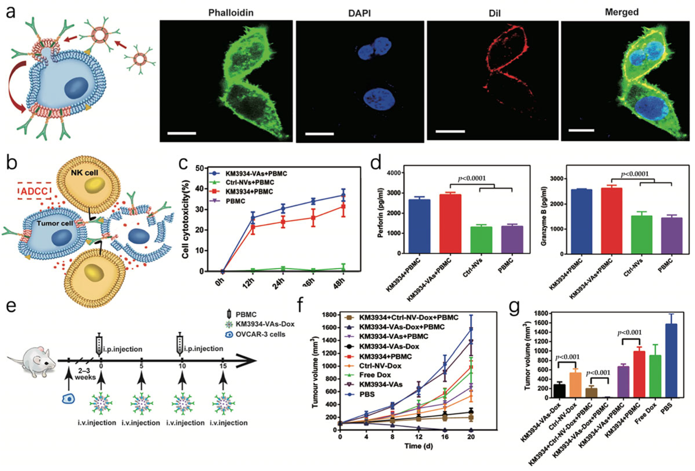 Cellular-Membrane-Derived Vesicles for Cancer Immunotherapy