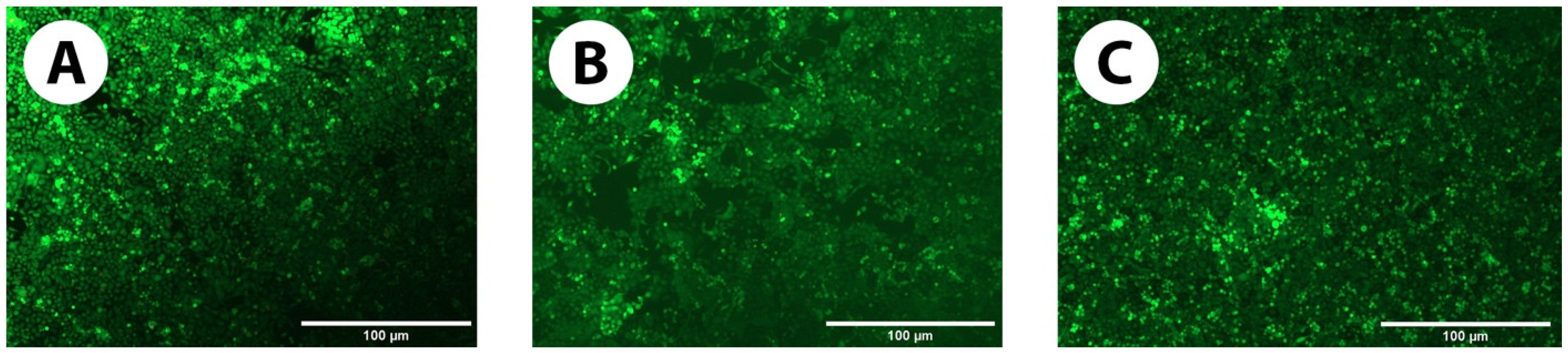 Fabrication and Characterization of an Enzyme-Triggered, Therapeutic ...