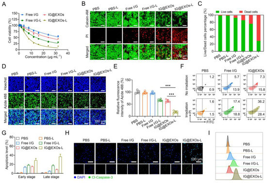 Synergistic Phototherapy-Molecular Targeted Therapy Combined with Tumor ...