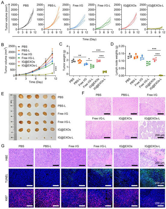 Synergistic Phototherapy-Molecular Targeted Therapy Combined with Tumor ...