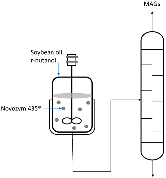 Upstream and Downstream Bioprocessing in Enzyme Technology