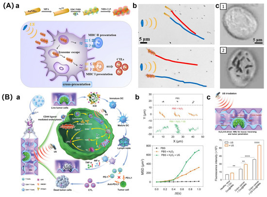 Nano/Micromotors for Cancer Diagnosis and Therapy: Innovative Designs ...