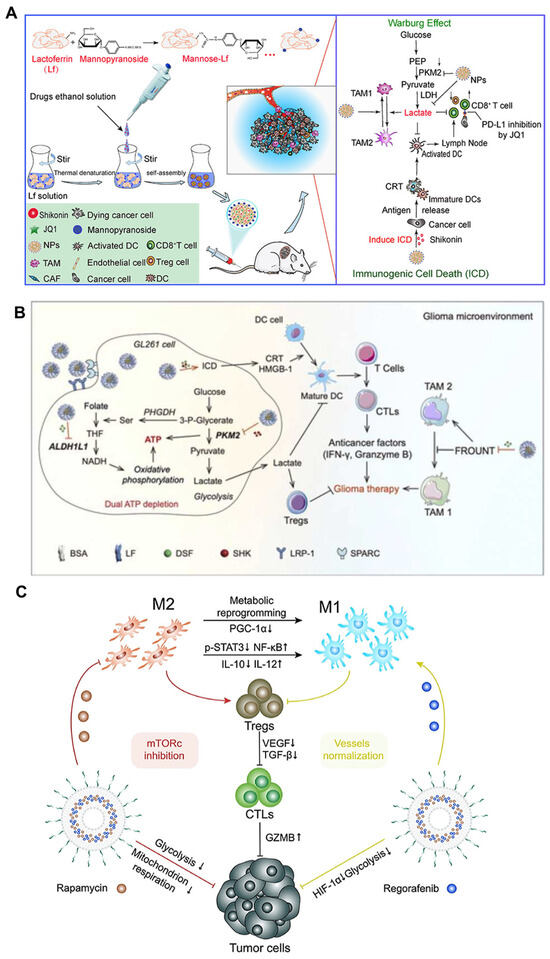 Tumor-Associated Macrophage Targeting of Nanomedicines in Cancer Therapy