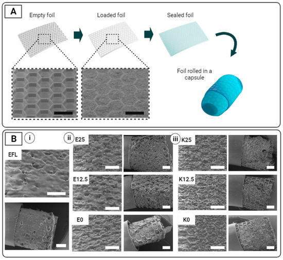 Flexible Coatings Facilitate pH-Targeted Drug Release via Self ...