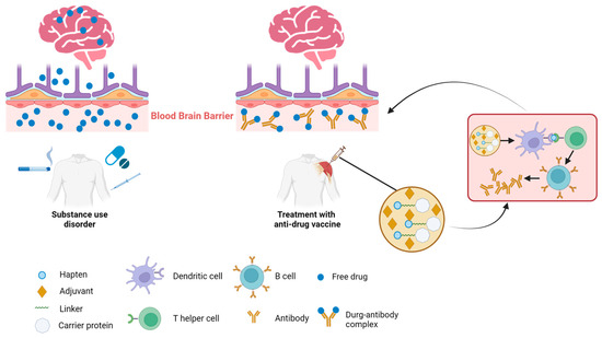 Vaccines to Treat Substance Use Disorders: Current Status and Future ...