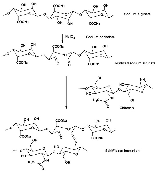 Pharmaceutics | Free Full-Text | Cross-Linked Alginate Dialdehyde/Chitosan Hydrogel Encompassing ...