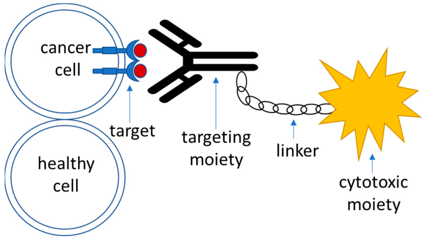 Targeted Glioma Therapy—Clinical Trials and Future Directions