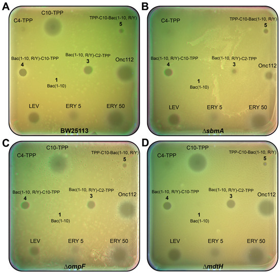 Triphenylphosphonium Analogs of Short Peptide Related to Bactenecin 7 ...