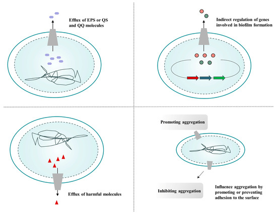 Bacterial Efflux Pump Inhibitors Reduce Antibiotic Resistance